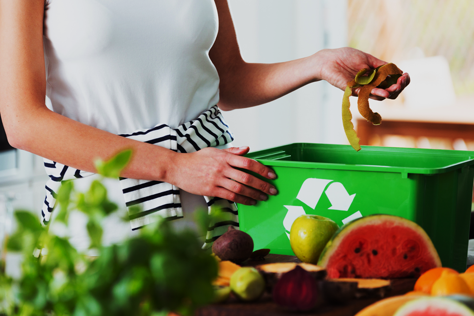Experts Convert Food Waste into Biofuel for Aircraft